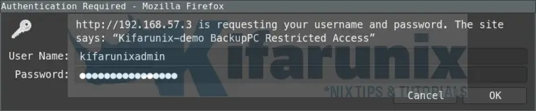 Install And Setup Backuppc Server On Ubuntu 2004