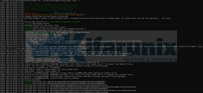 Install Velociraptor Client on Linux and Windows Systems - kifarunix.com