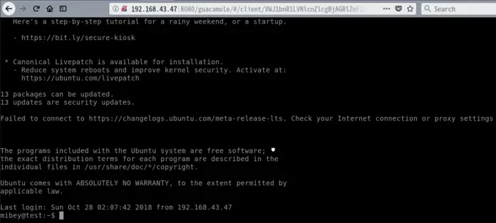 Setup Guacamole Remote Desktop Access Tool on Ubuntu 18.04 - kifarunix.com