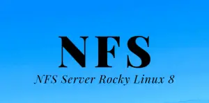 Install and Configure NFS Server on Rocky Linux 8 - kifarunix.com