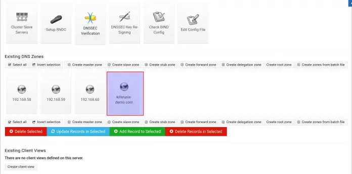 Configure BIND DNS Server using Webmin on Debian 11 - kifarunix.com