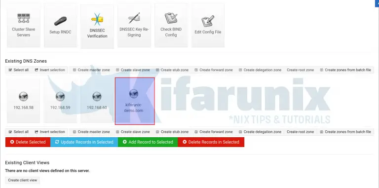 Configure BIND DNS Server using Webmin on Debian 11 - kifarunix.com