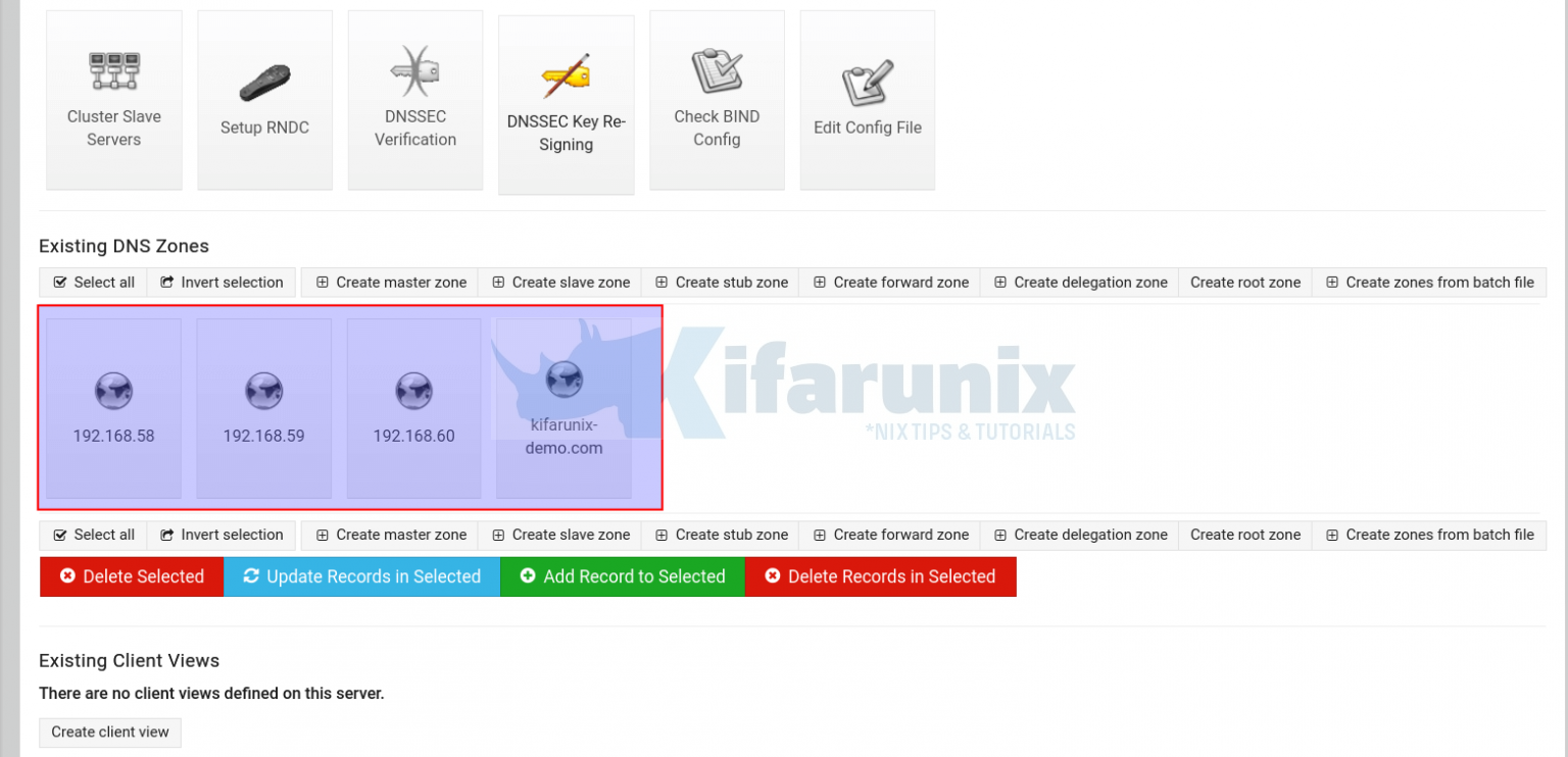 Configure BIND DNS Server using Webmin on Debian 11 - kifarunix.com