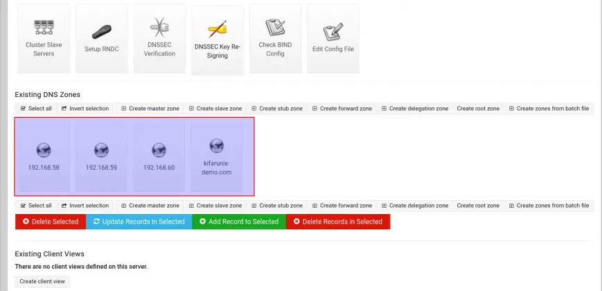 Configure BIND DNS Server using Webmin on Debian 11 - kifarunix.com