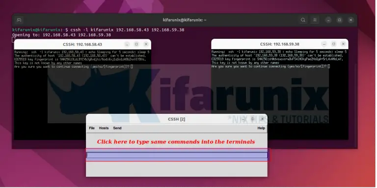 Install and Use ClusterSSH on Ubuntu 22.04/Ubuntu 20.04 - kifarunix.com