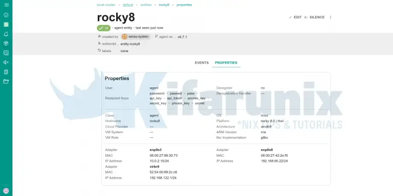 Install Sensu Agent on Rocky Linux - kifarunix.com