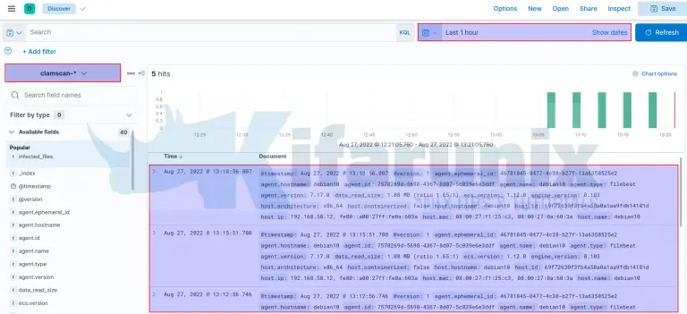 Visualize ClamAV Scan Logs on ELK Stack Kibana - kifarunix.com