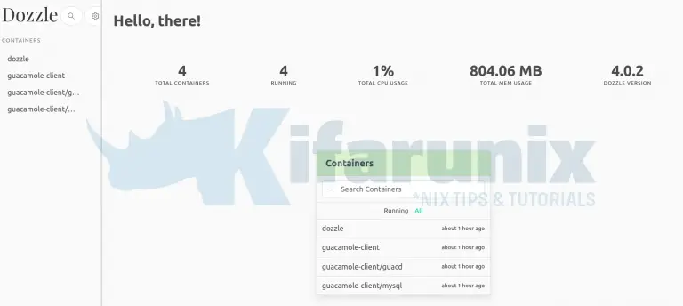 Install Dozzle Real Time Log Viewer For Docker Containers On Ubuntu