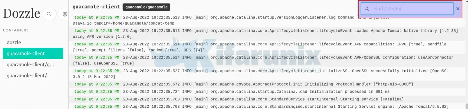 Install Dozzle Real-Time Log Viewer for Docker Containers on Ubuntu - kifarunix.com