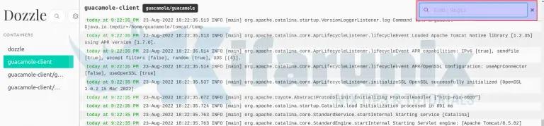 Install Dozzle Real-Time Log Viewer for Docker Containers on Ubuntu - kifarunix.com