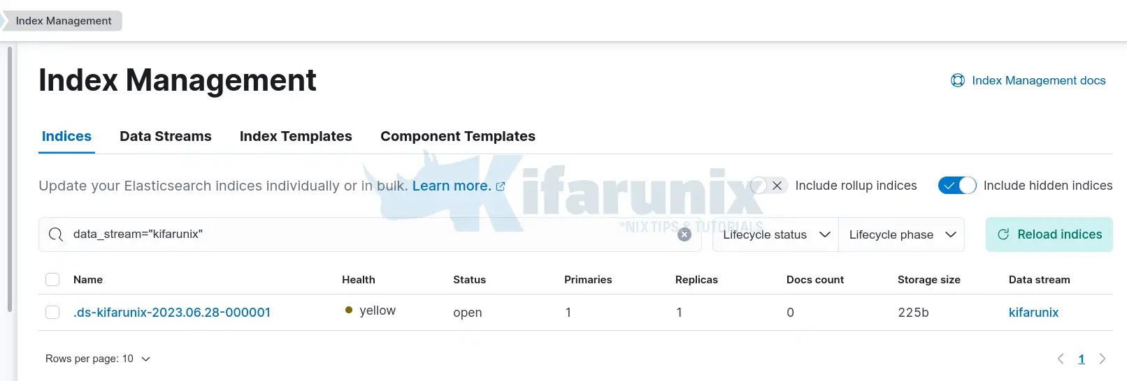 Configure Filebeat 8 To Write Logs To Specific Data Stream 1600