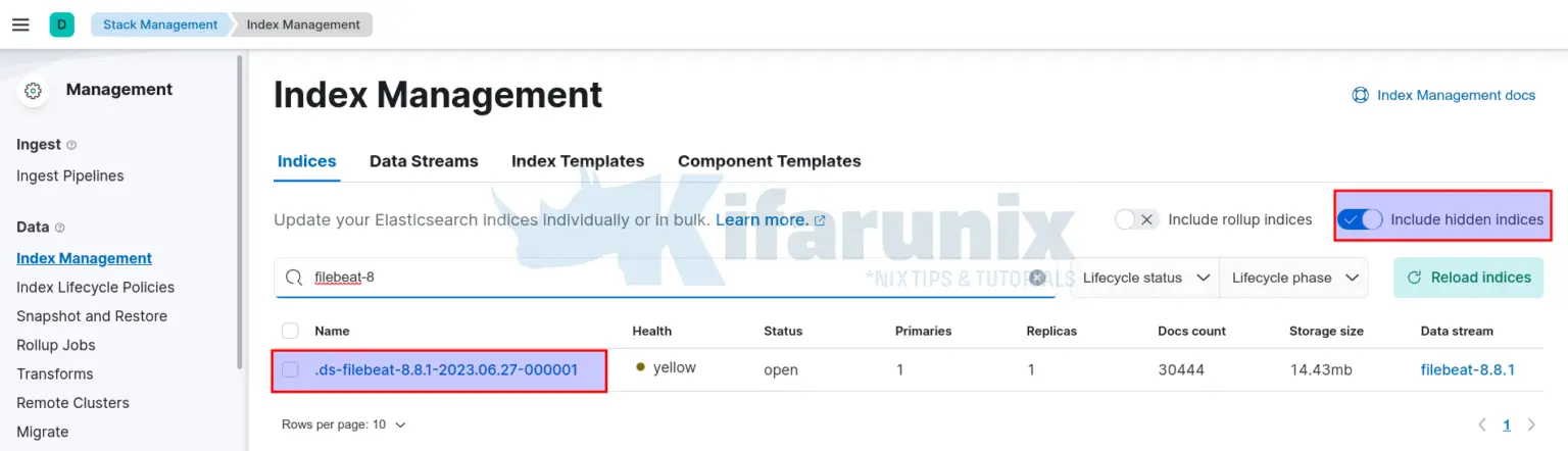 Configure Filebeat 8 to Write Logs to Specific Data Stream - kifarunix.com