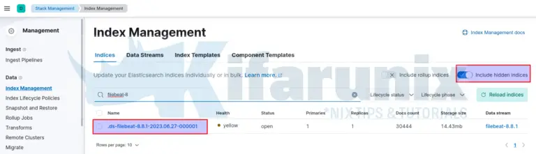 Configure Filebeat 8 to Write Logs to Specific Data Stream - kifarunix.com