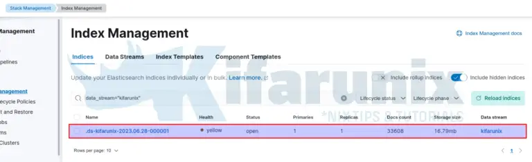 Configure Filebeat 8 to Write Logs to Specific Data Stream - kifarunix.com