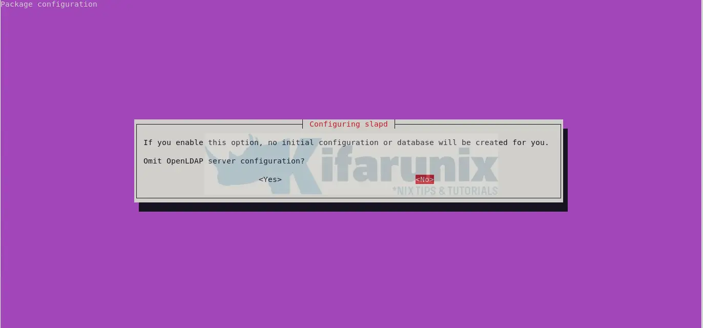Install Openldap Server On Ubuntu 2404