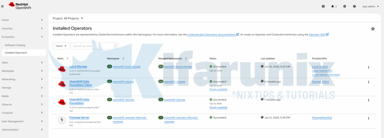 How to Install and Configure OpenShift Data Foundation on OpenShift 4. ...